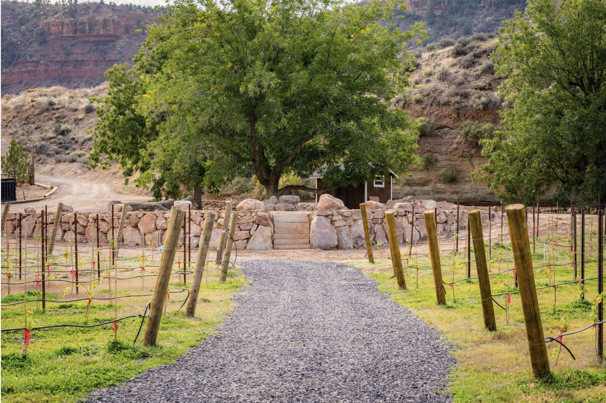 Utah Wine Trail